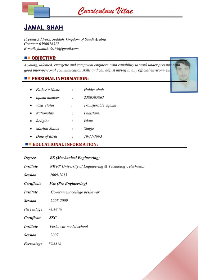 jamal shah cv | PDF