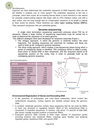 DNA sequencing | PDF