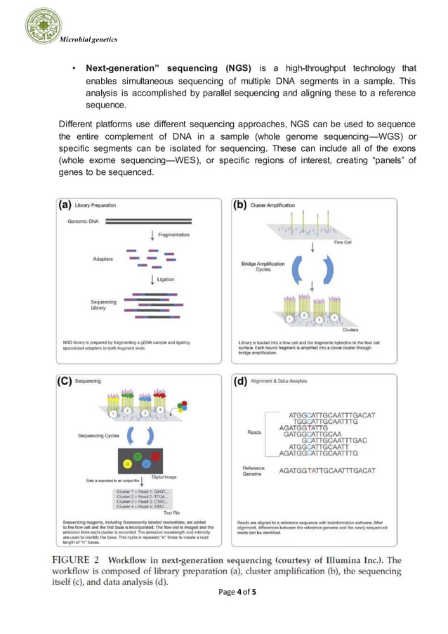 DNA sequencing | PDF