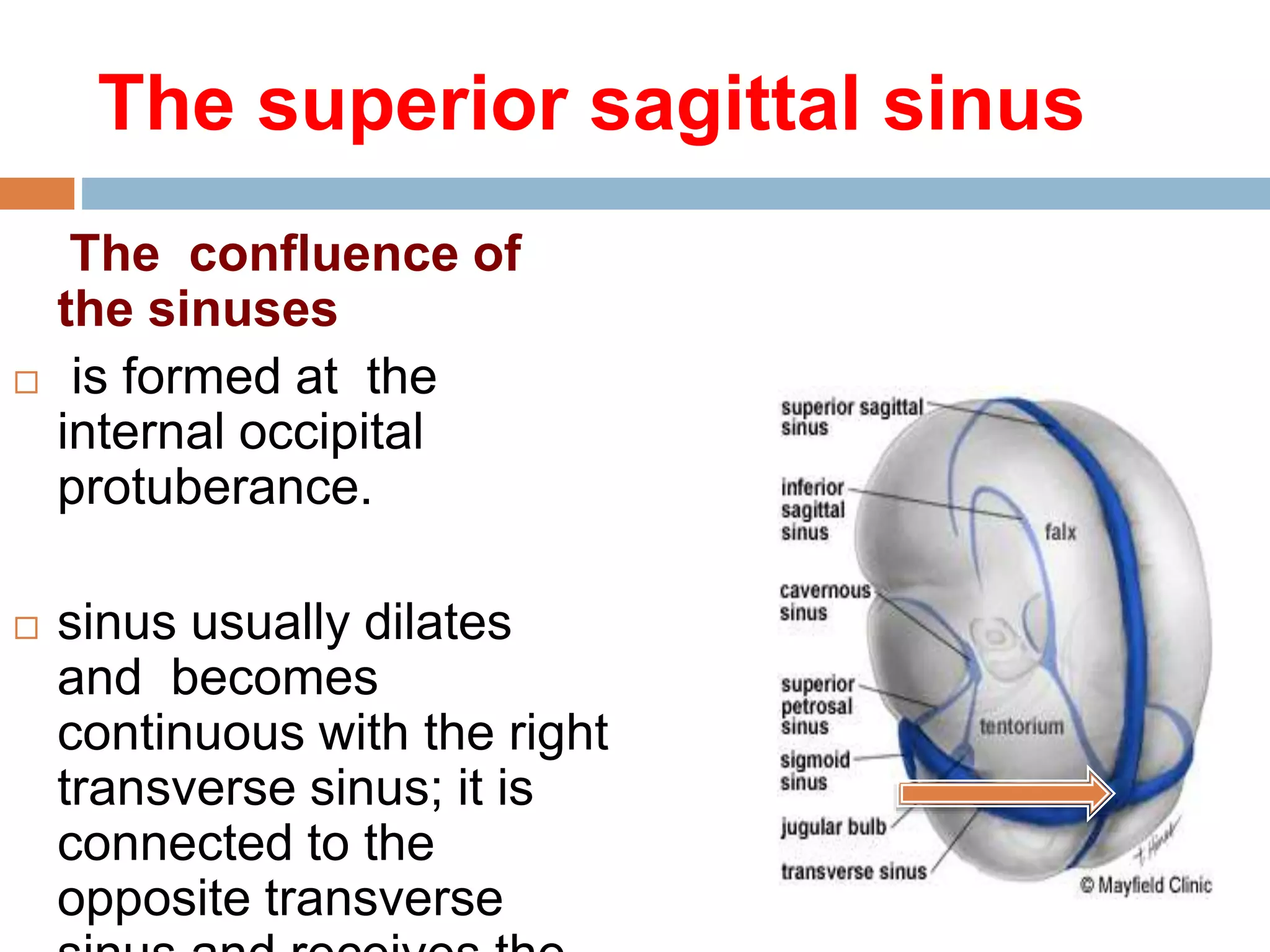 15 dural venous sinuses | PPTX