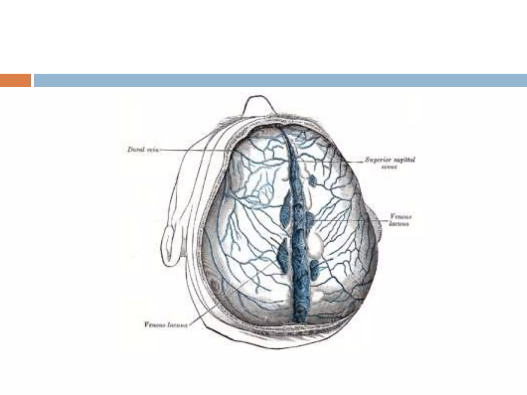 15 dural venous sinuses | PPTX