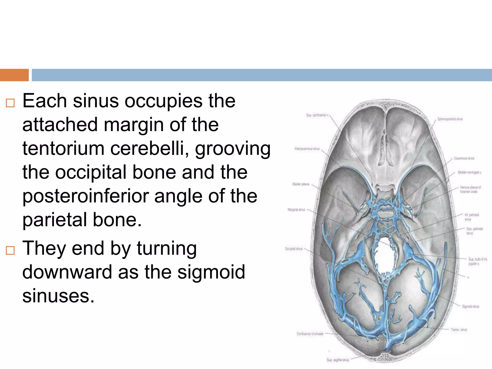 15 dural venous sinuses | PPTX