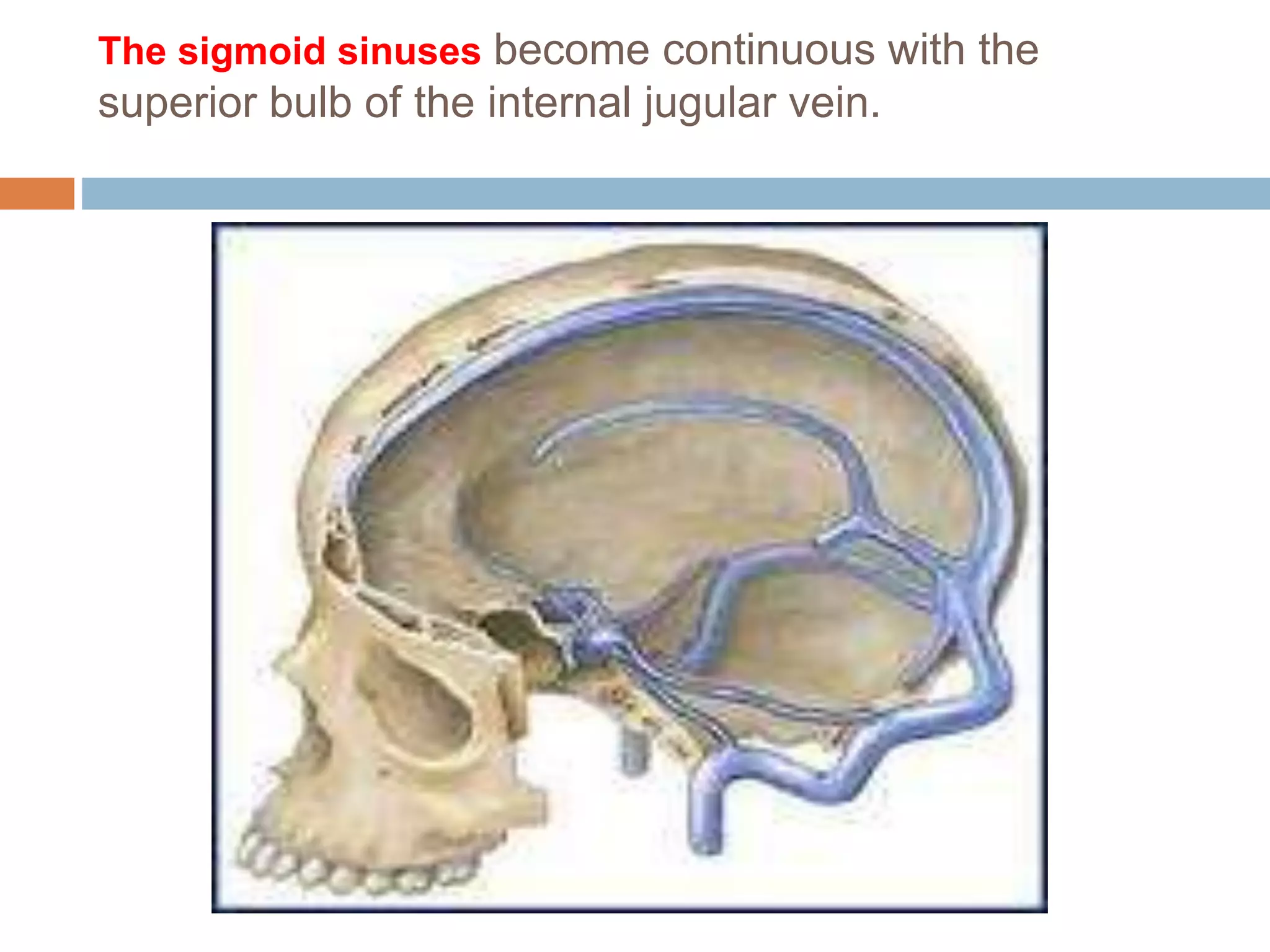 15 dural venous sinuses | PPTX