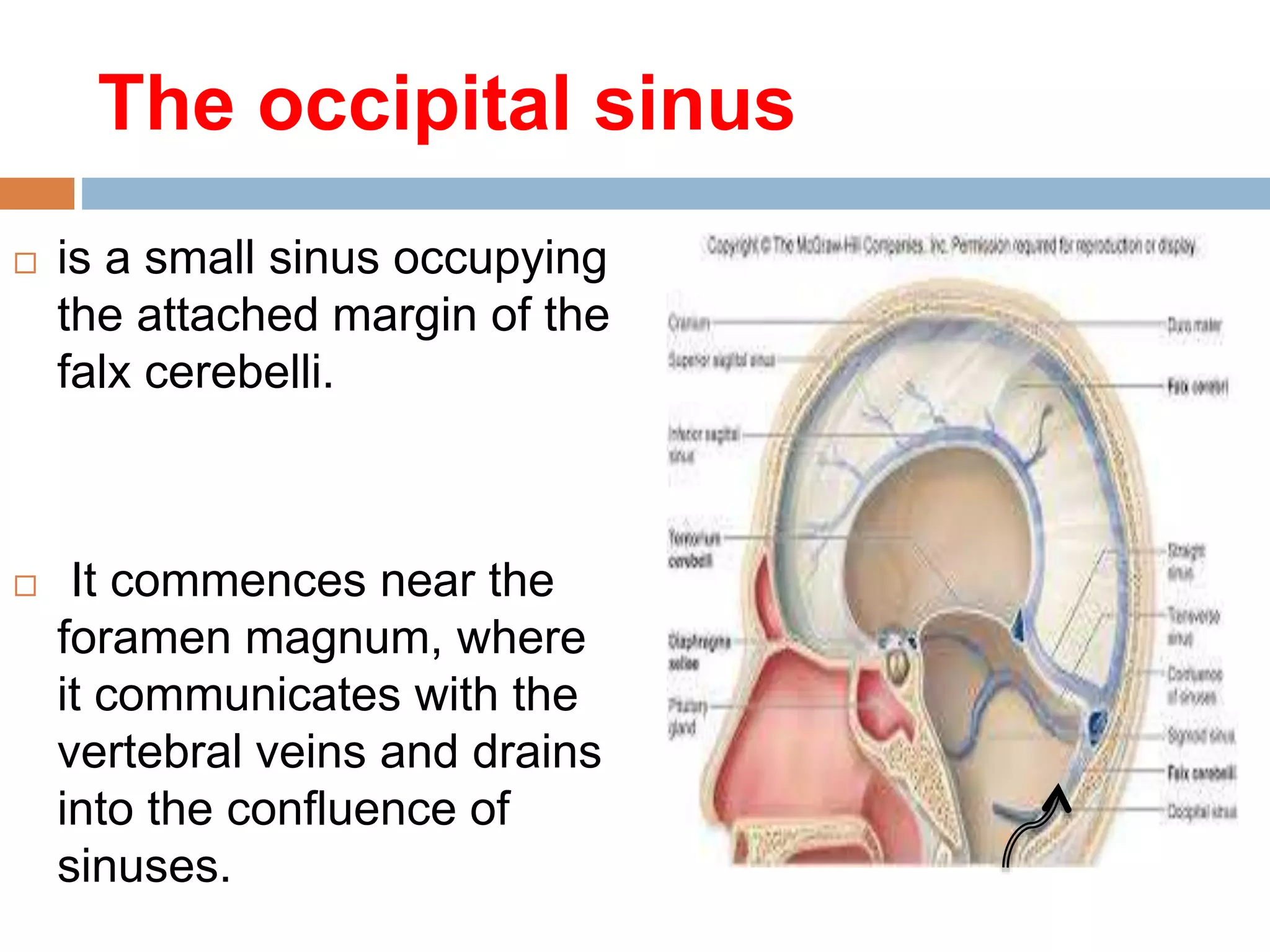 15 dural venous sinuses | PPTX
