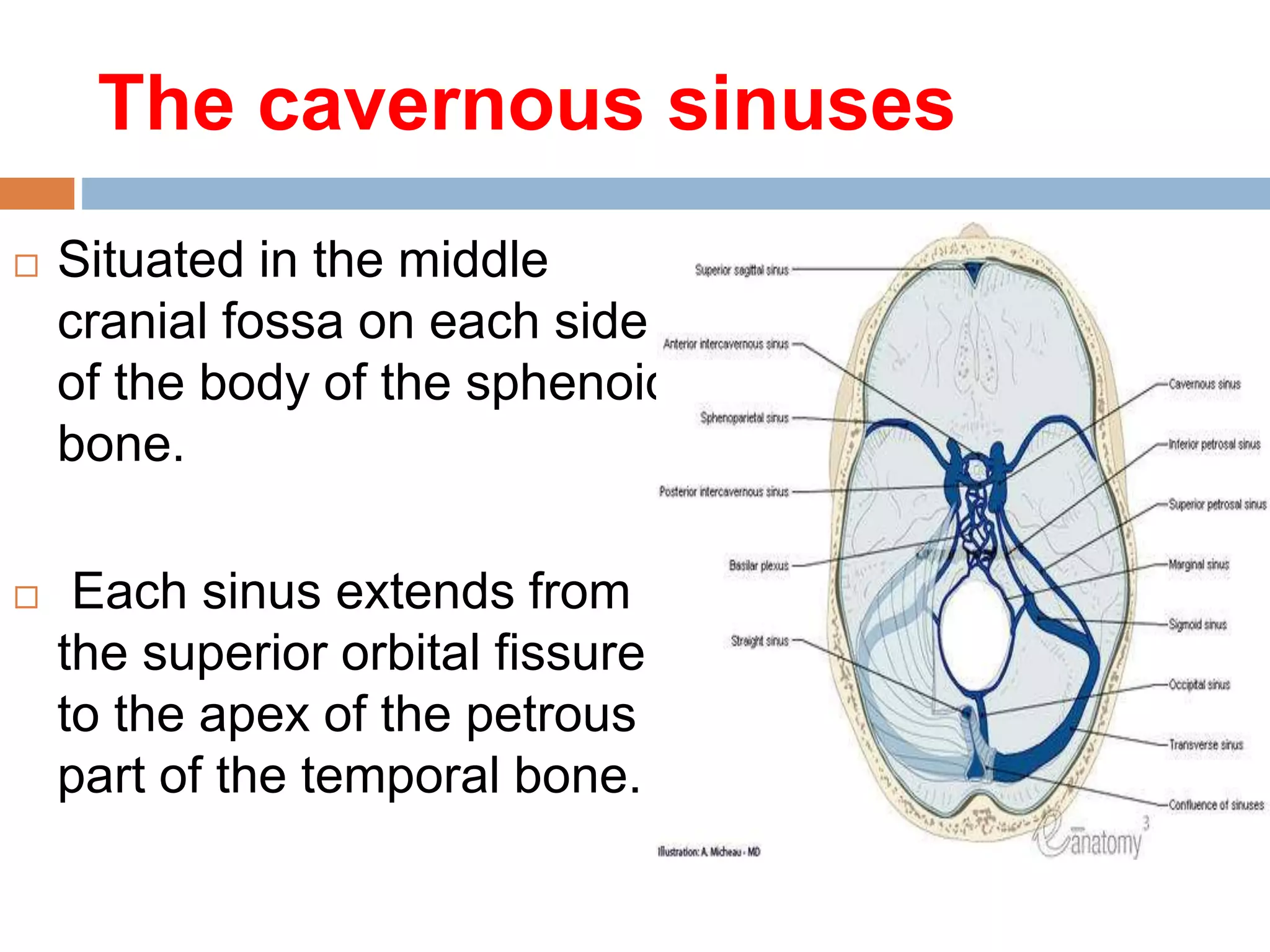 15 dural venous sinuses | PPTX