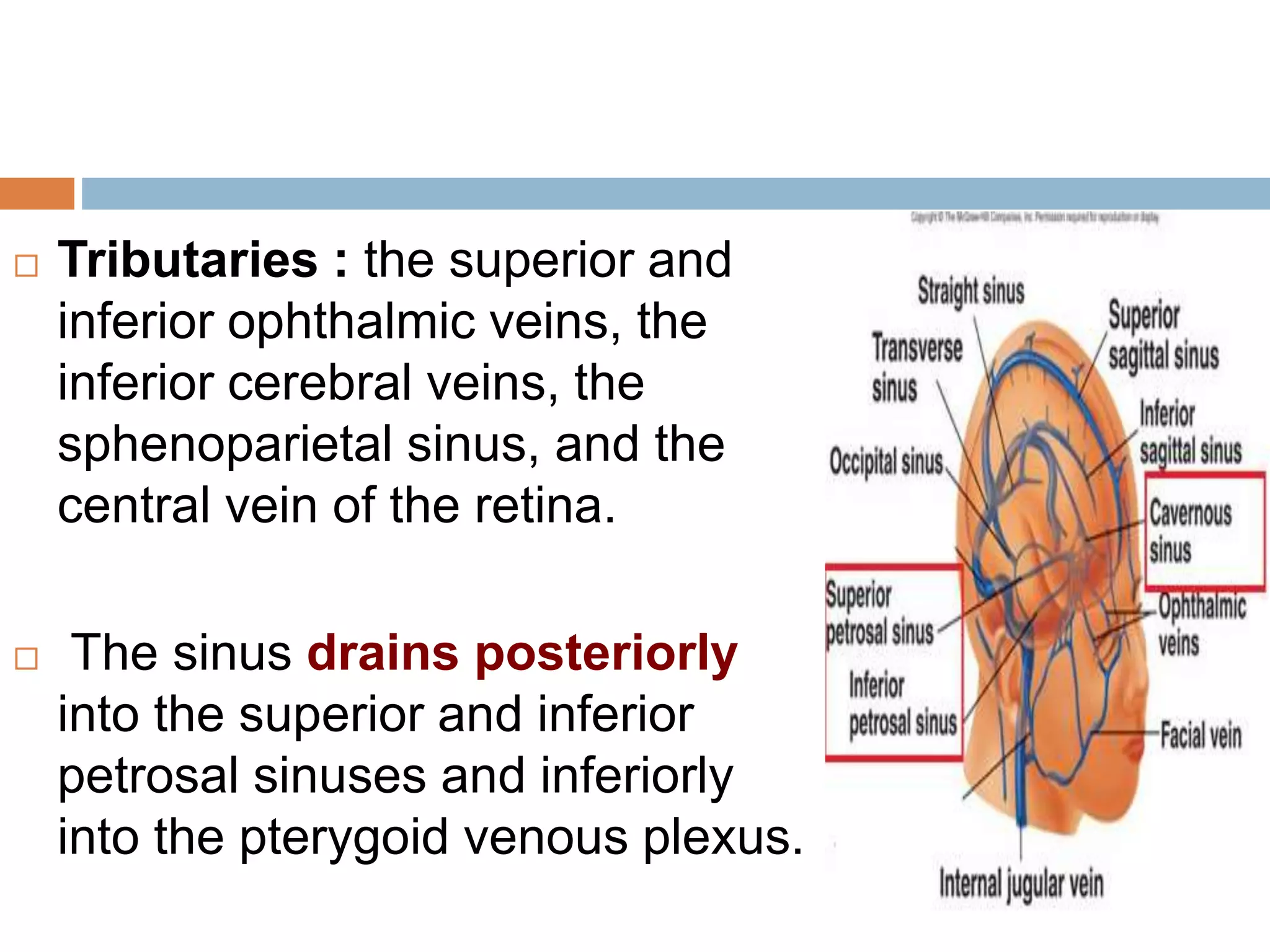 15 dural venous sinuses | PPTX