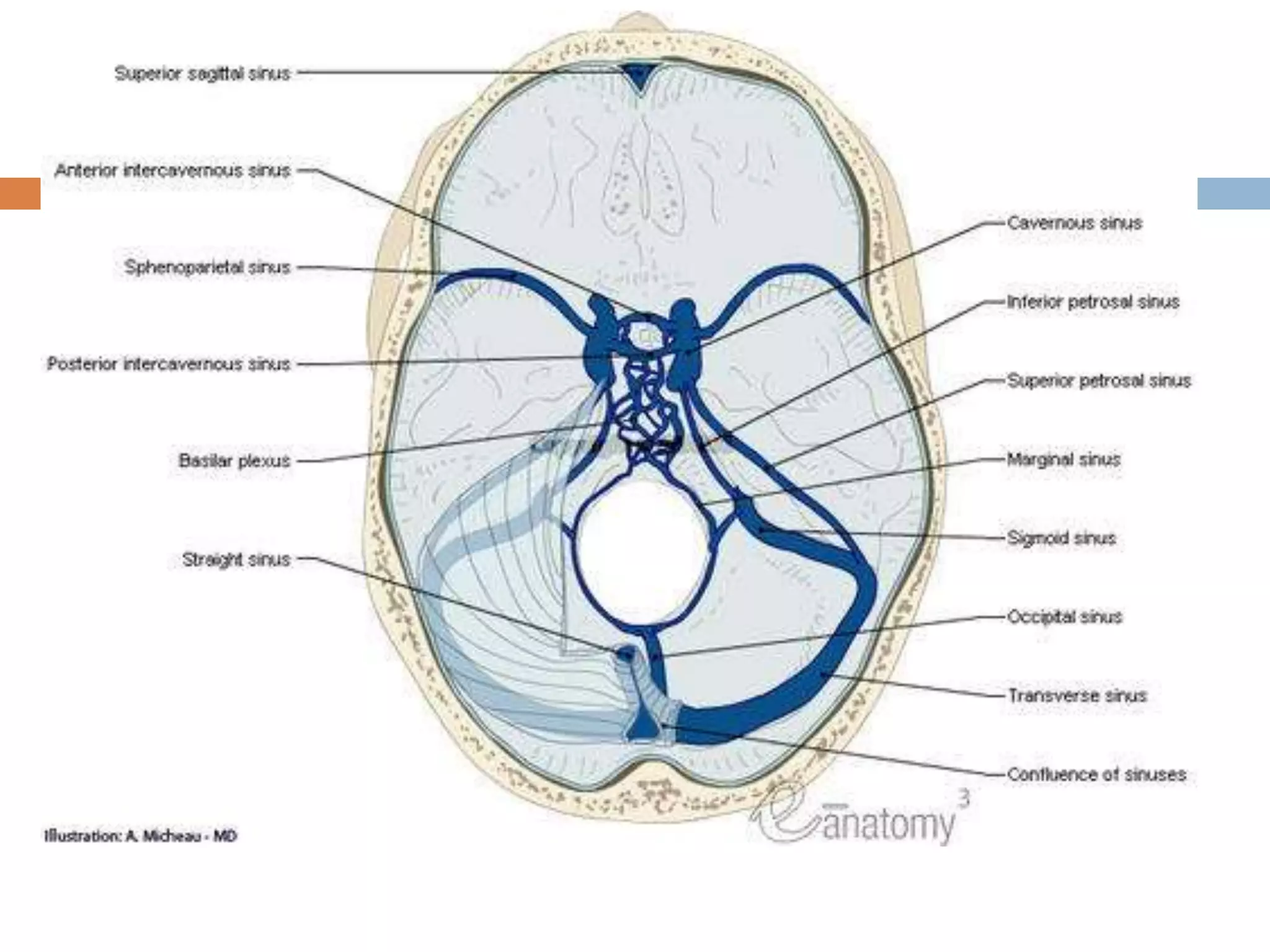 15 dural venous sinuses | PPTX