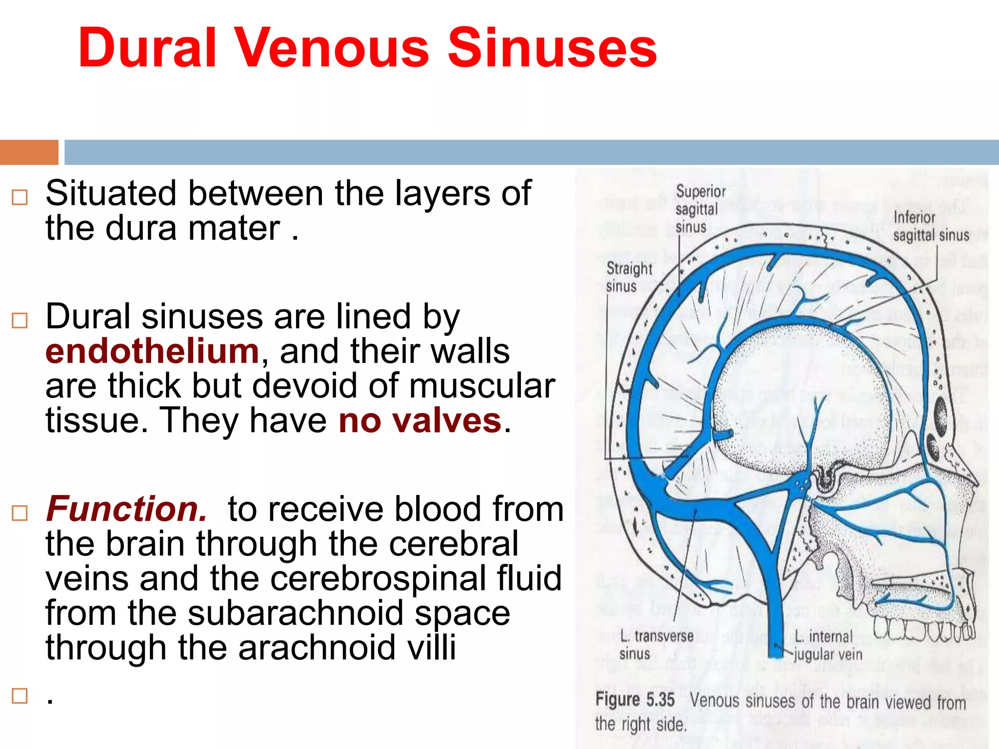 15 dural venous sinuses | PPTX