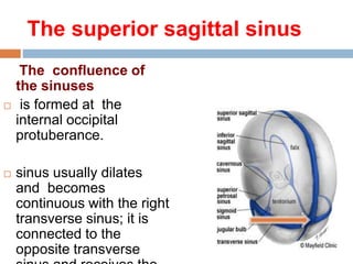15 dural venous sinuses | PPTX