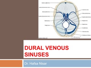 Confluence Of Sinuses Skull