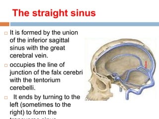 Inferior Sagittal Sinus Cadaver