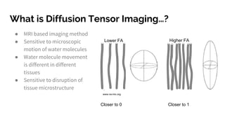 Copy of NCSU Workshop - DTI.1 | PDF