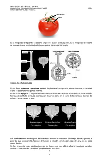 15 EL FRUTO 202015 EL FRUTO 2020.pdf