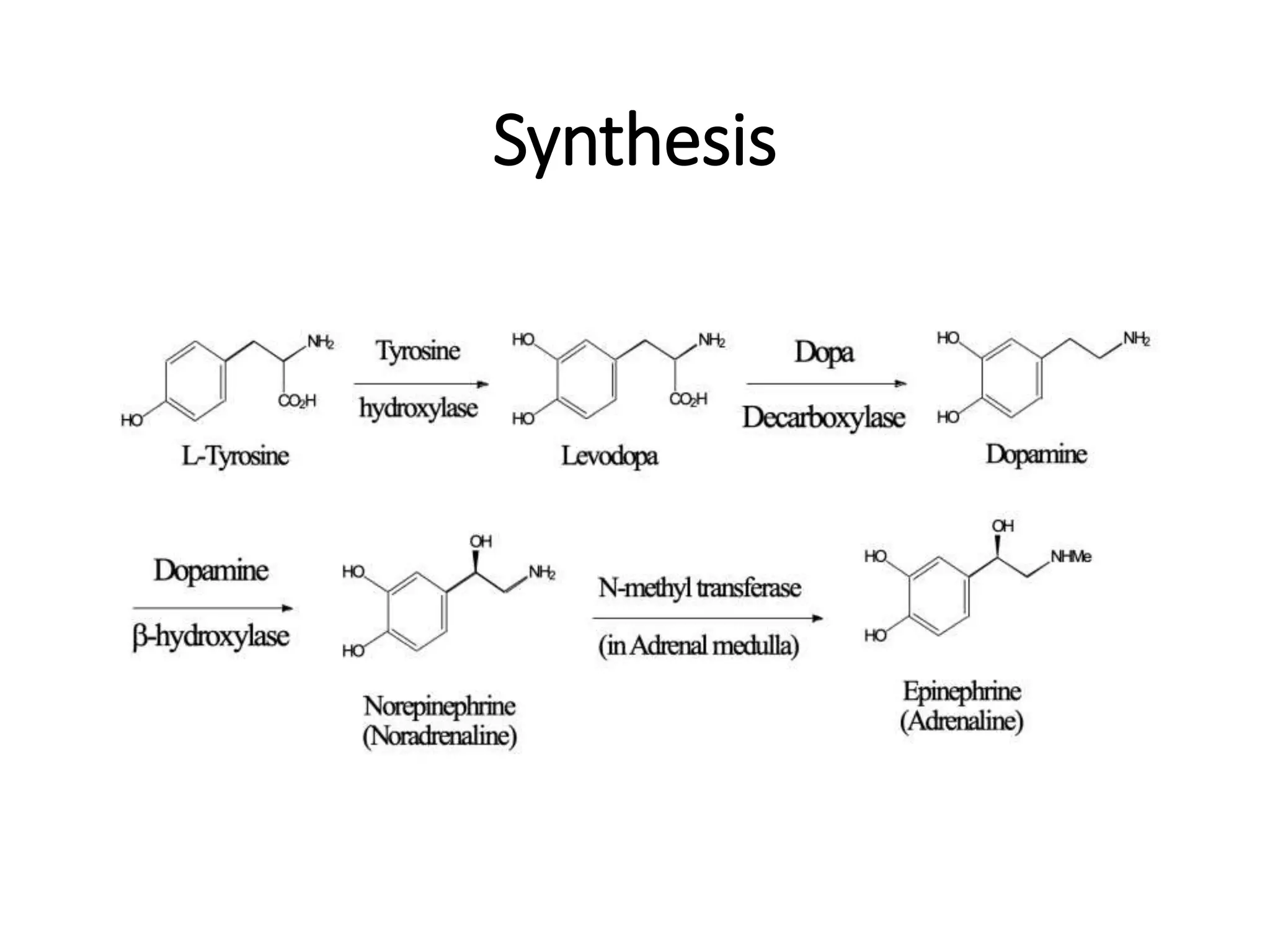 Epinephrine and Norepinephrine.pptx