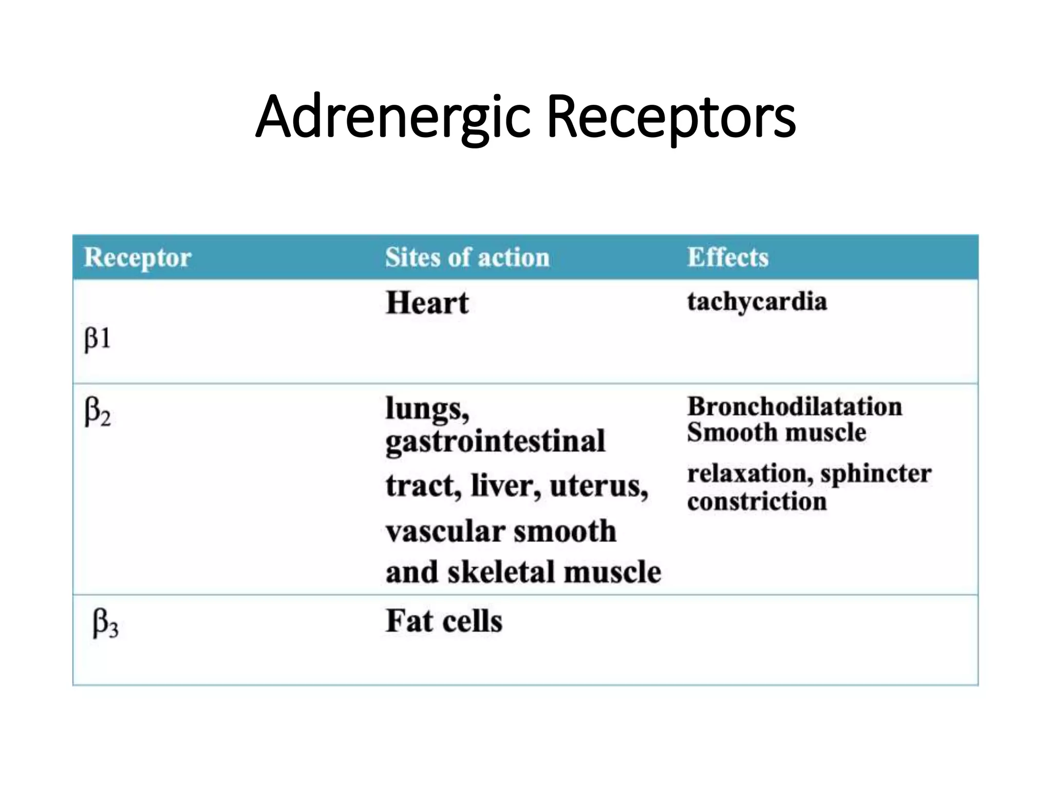 Epinephrine and Norepinephrine.pptx
