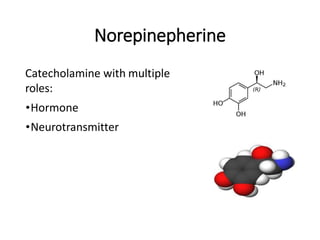 Epinephrine and Norepinephrine.pptx