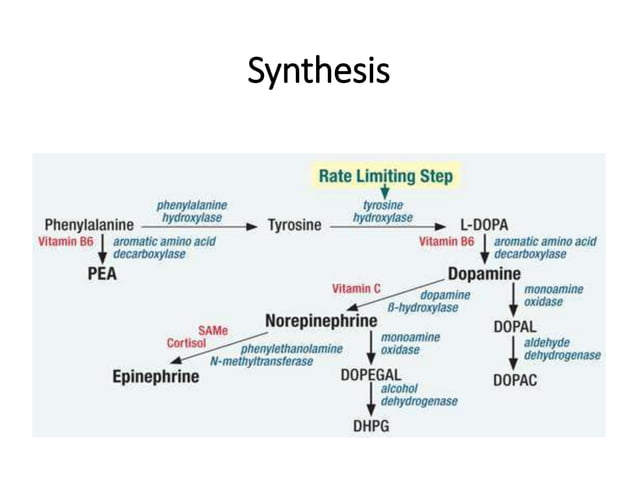 Epinephrine and Norepinephrine.pptx