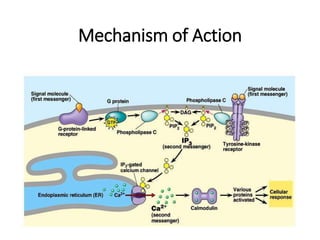 Epinephrine and Norepinephrine.pptx