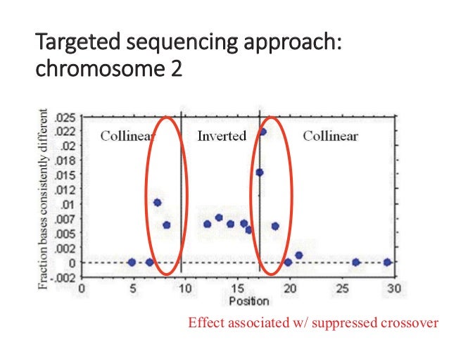 Inversions as barriers to recombination and facilitators of speciation