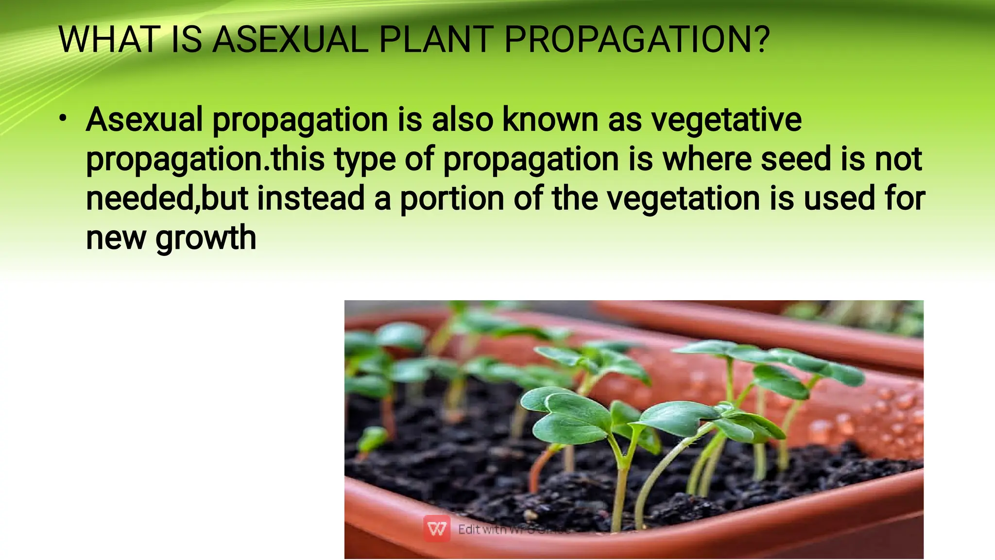 AmodiaGwynn_I._(Lesson_2_-_Asexual_Plant_Propagation).pdf