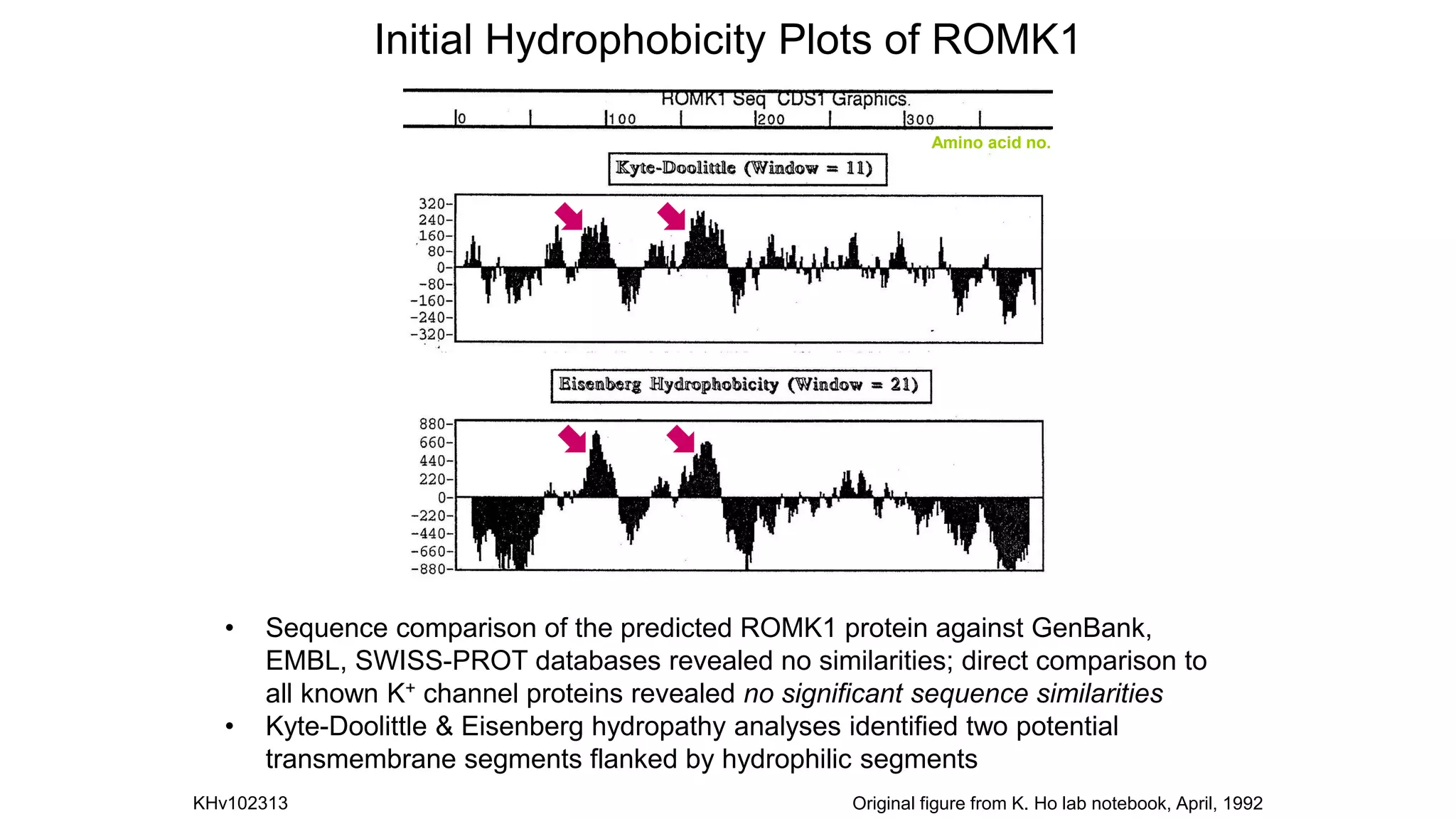 Solving Structural Topology of ROMK1 FINAL from 102313 | PDF