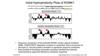 Solving Structural Topology of ROMK1 FINAL from 102313 | PPT