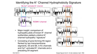 Solving Structural Topology of ROMK1 FINAL from 102313 | PPT