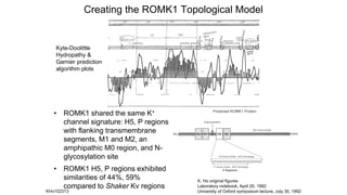 Solving Structural Topology of ROMK1 FINAL from 102313 | PPT