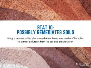 16 Fun Facts & Stats On Hemp | PPT