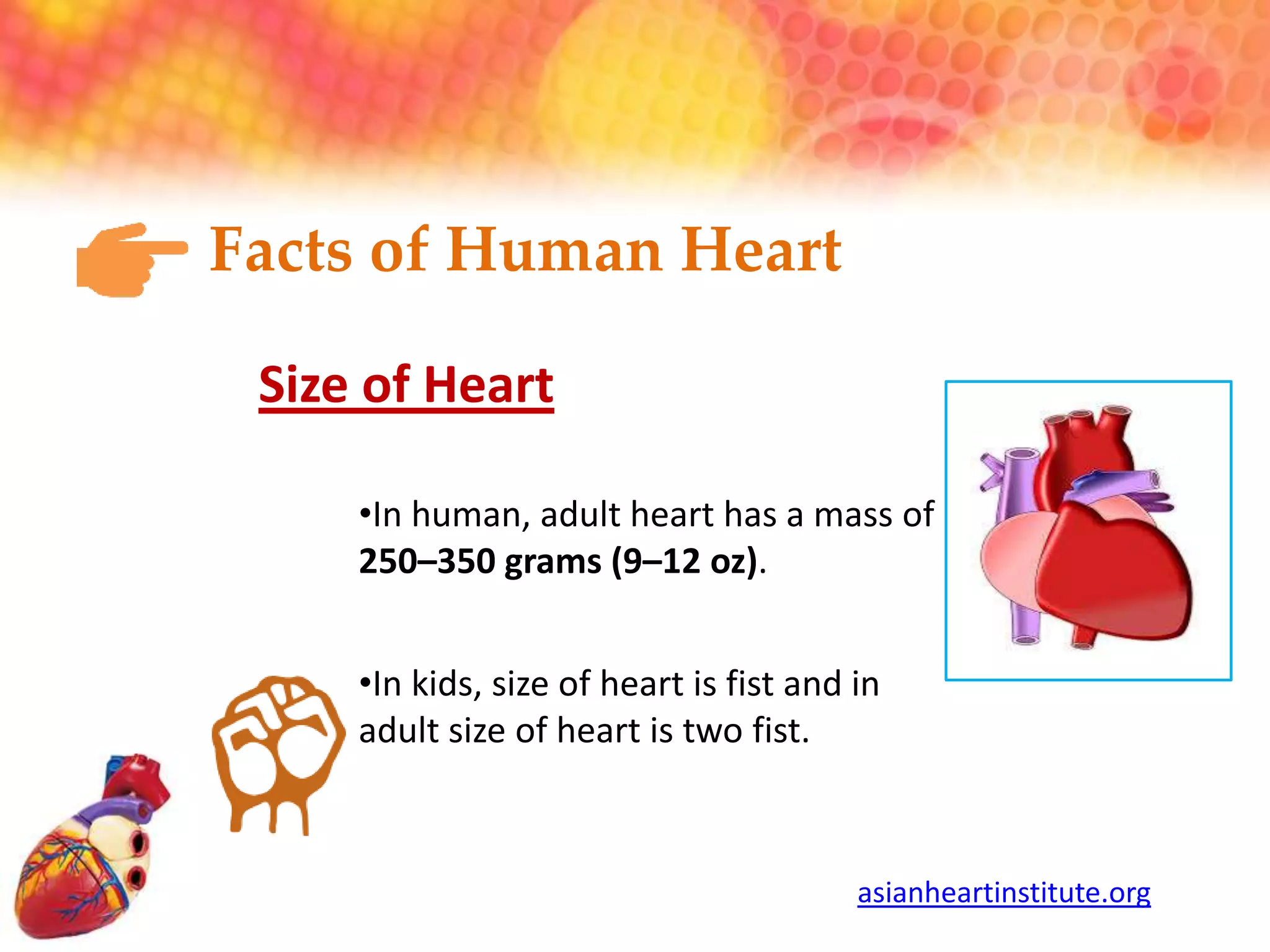 15 Facts to Know About Your Heart | PPTX