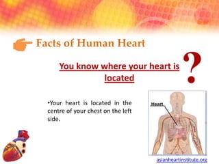 15 Facts to Know About Your Heart | PPTX