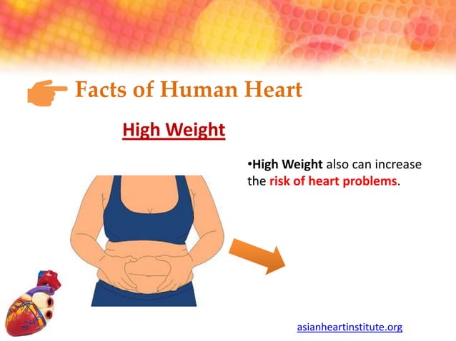 15 Facts to Know About Your Heart | PPTX