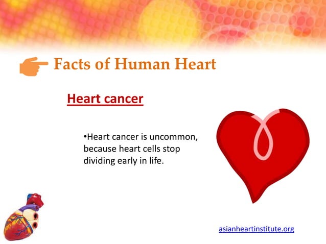 15 Facts to Know About Your Heart | PPTX