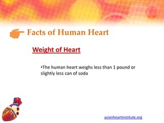 15 Facts to Know About Your Heart | PPTX