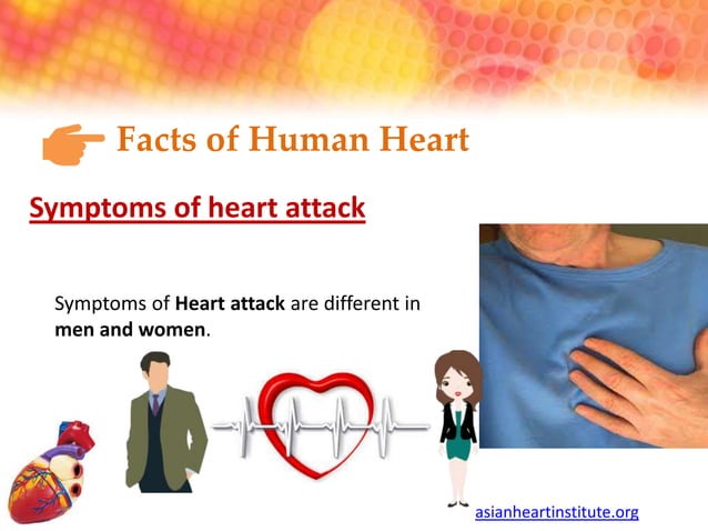 15 Facts to Know About Your Heart | PPTX