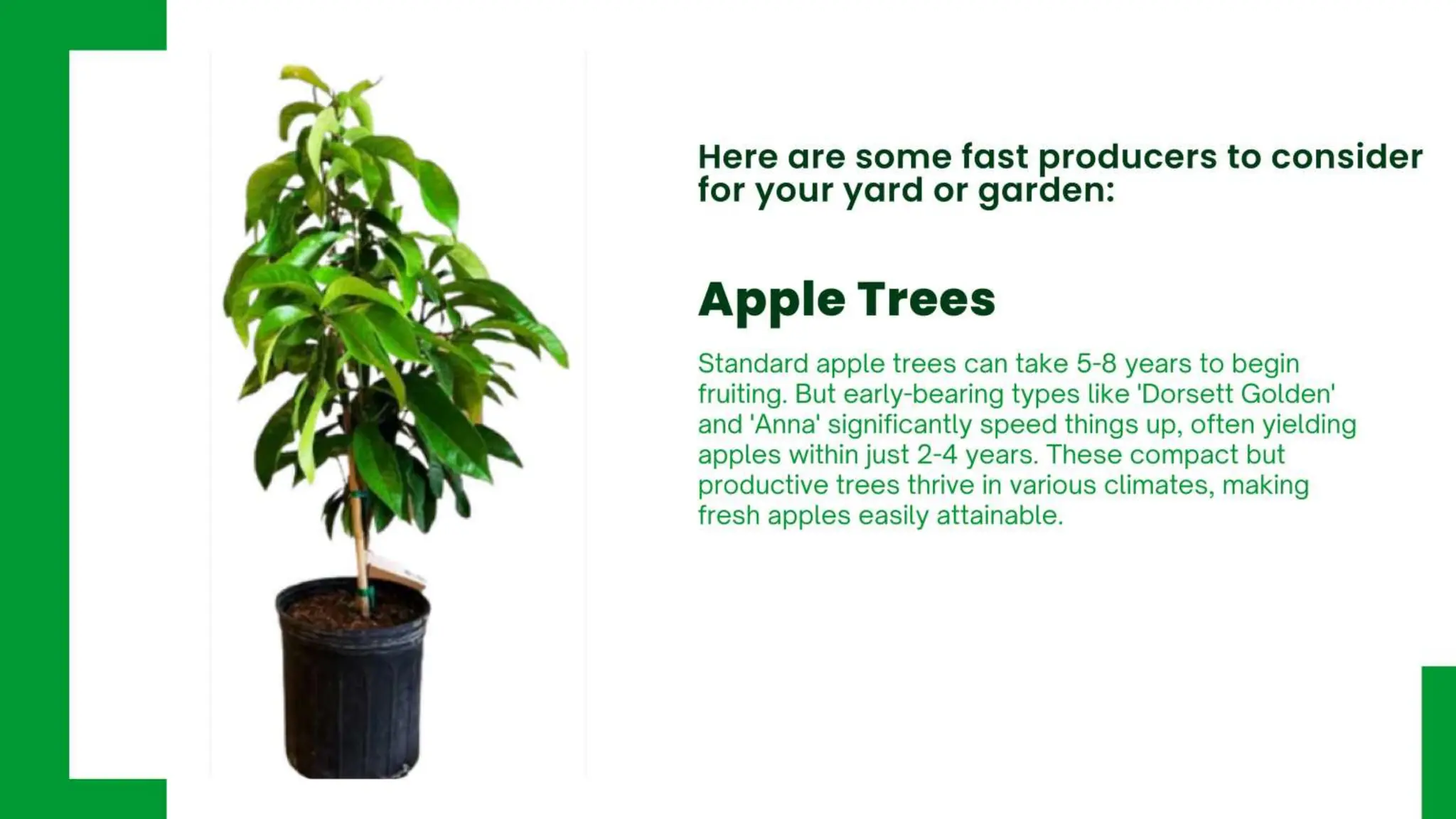 15 Fast Producing Fruit Trees, Shrubs & Vines | PPT