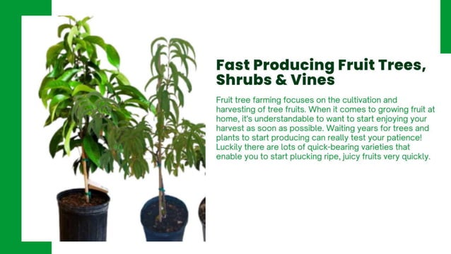 15 Fast Producing Fruit Trees, Shrubs & Vines | PPT