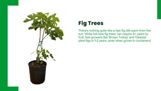 15 Fast Producing Fruit Trees, Shrubs & Vines | PPT