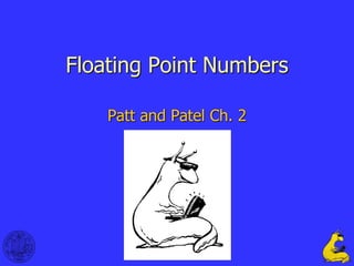 Single Precision Floating Point Format.ppt | Programming Languages | Computing