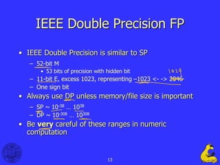 Single Precision Floating Point Format.ppt | Programming Languages | Computing