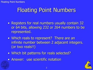 Single Precision Floating Point Format.ppt | Programming Languages | Computing