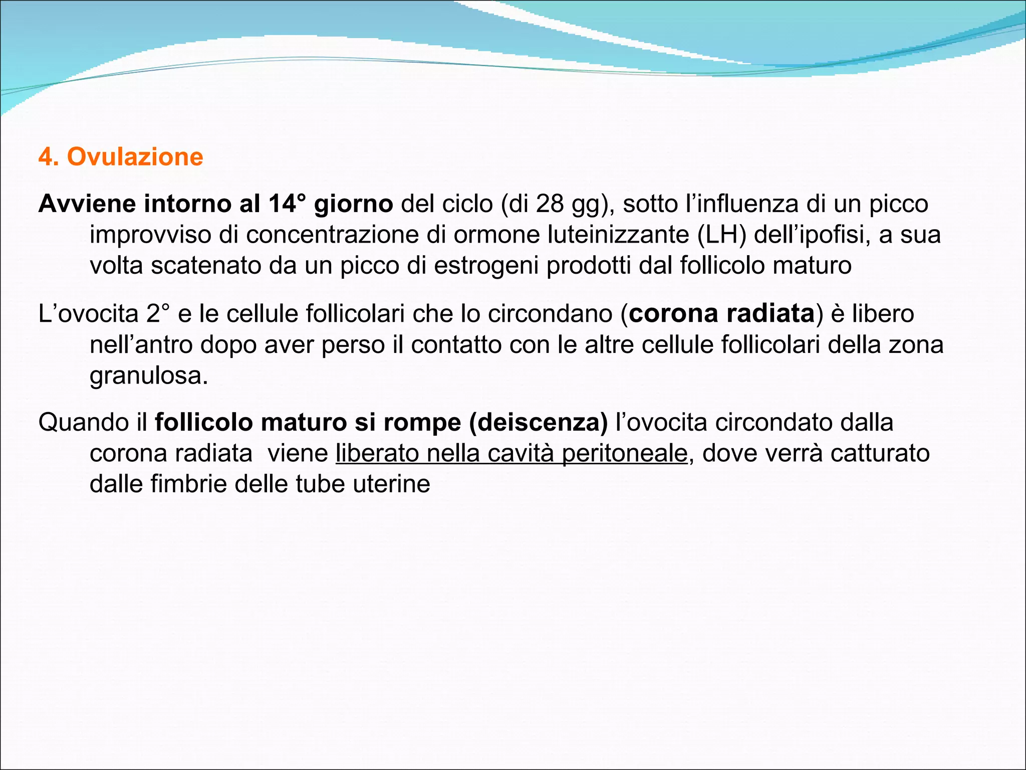 Gonadi femminili: Le ovaie | PPT