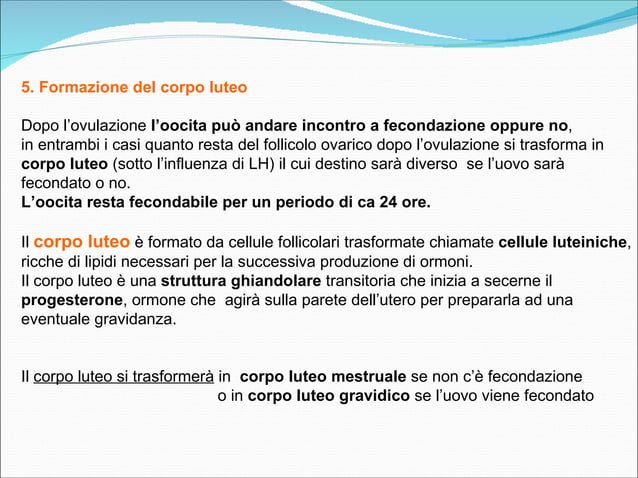 Gonadi femminili: Le ovaie | PPT