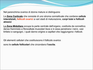 Gonadi femminili: Le ovaie | PPT