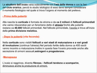 Gonadi femminili: Le ovaie | PPT