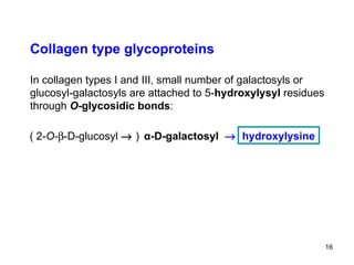 15 glycoproteins _haemoproteins | PPT