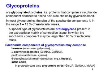 15 glycoproteins _haemoproteins | PPT