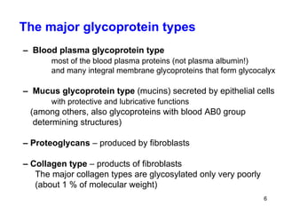 15 glycoproteins _haemoproteins | PPT