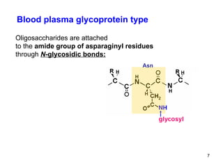 15 glycoproteins _haemoproteins | PPT