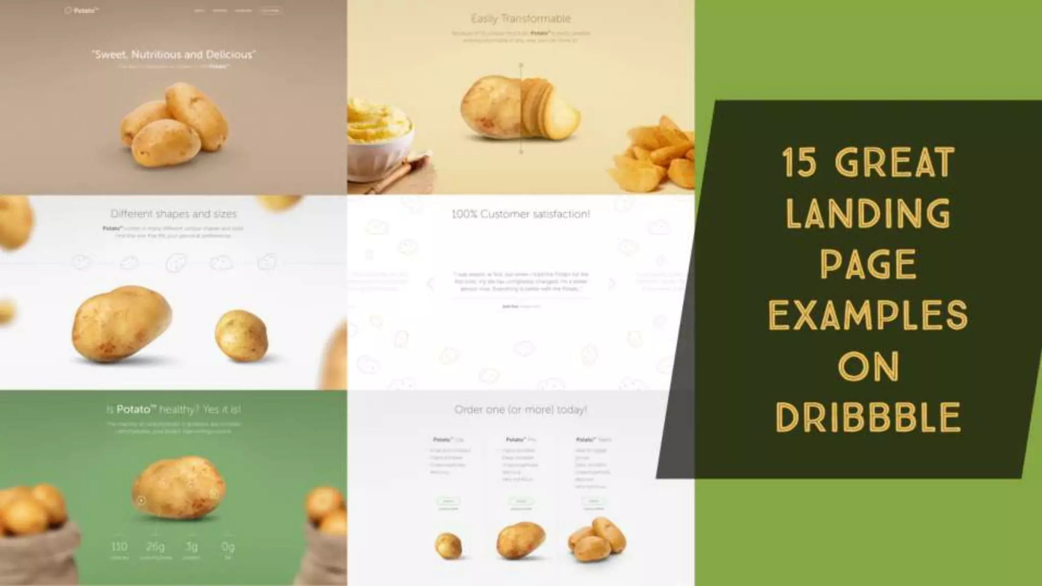 15 Great Landing Page Examples on Dribbble | PPTX